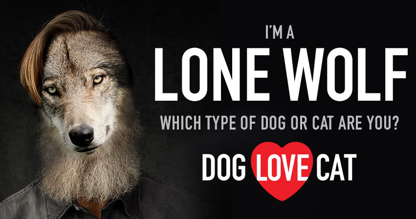 Take the Dog Love Cat Challenge!